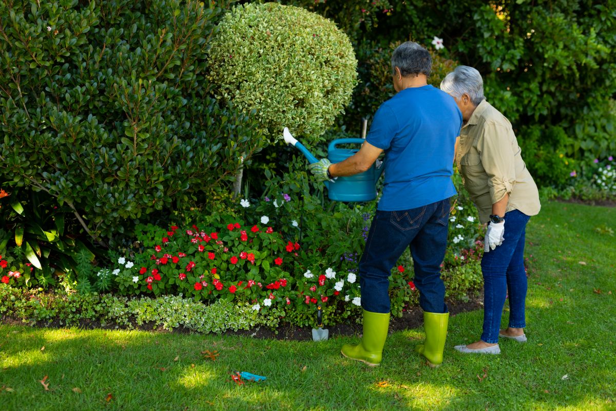 Unlock the secret to a thriving garden, even when you're away!